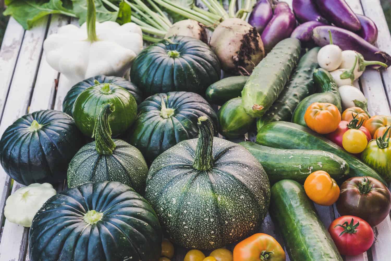 Gemüse ernten | die wichtigsten Infos für euch zusammengefasst