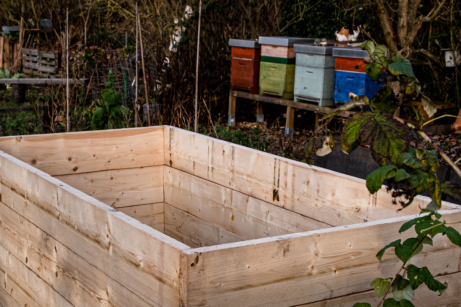 Hochbeet selber bauen - einfach und günstig