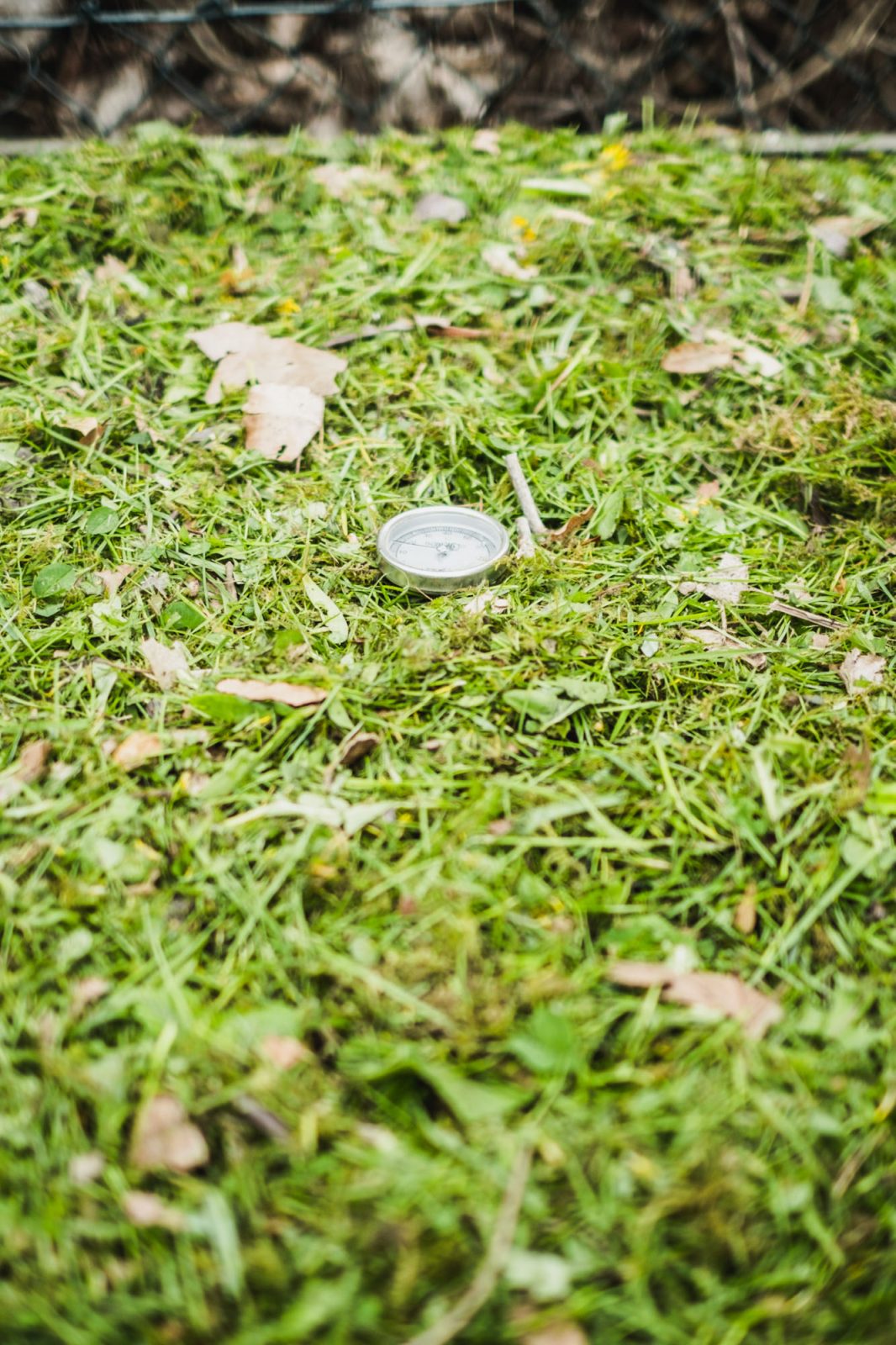 Kompost anlegen - Geld sparen + Bodenstruktur verbessern