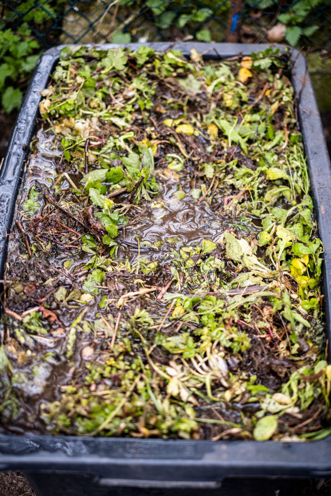 Kompost anlegen - Geld sparen + Bodenstruktur verbessern