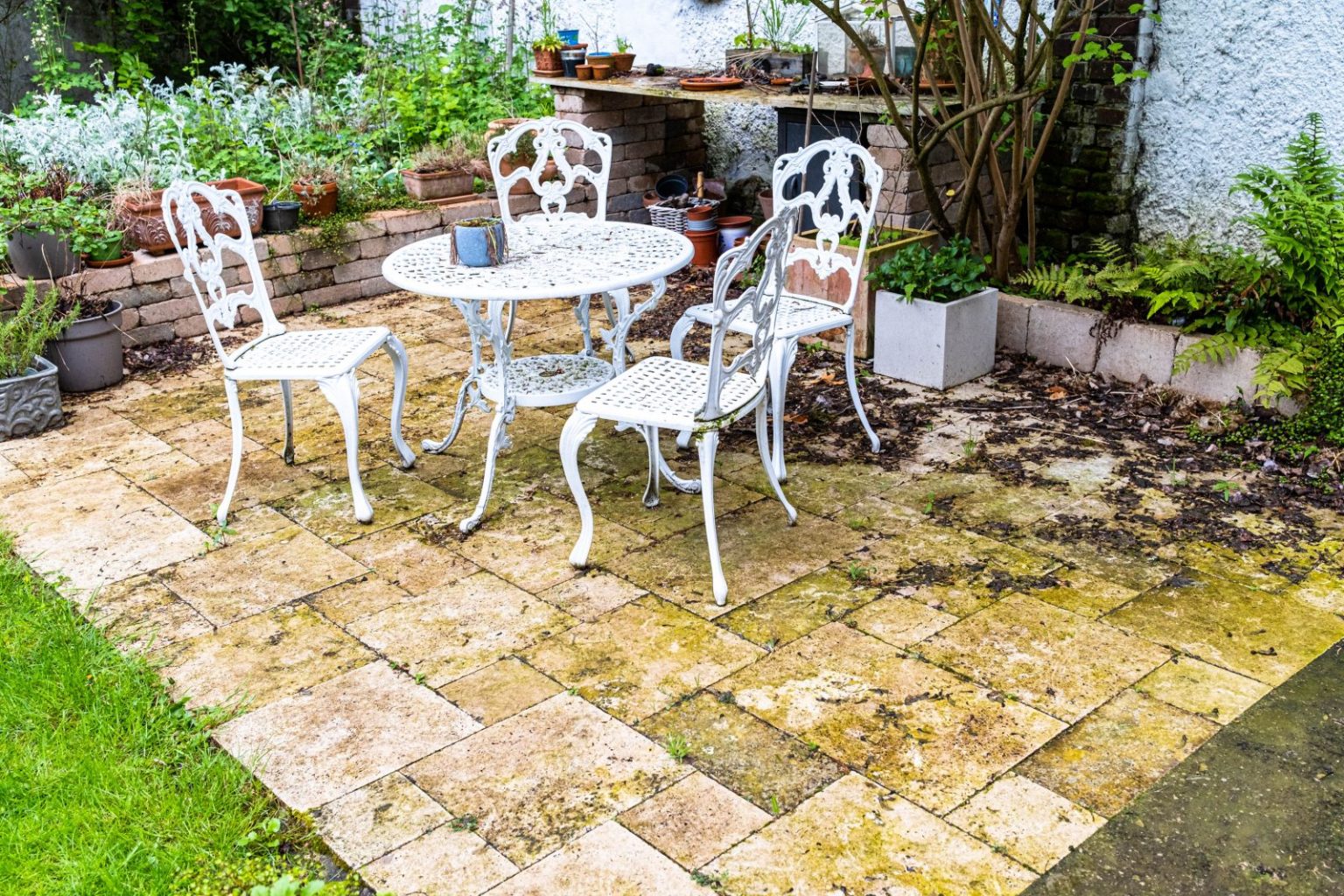 Der kleine Horrorgarten | Blumen, Kohl & Rock'n'Roll